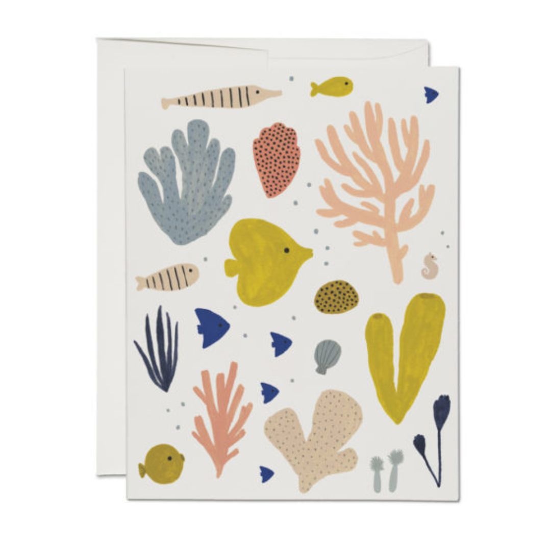 Coral – Museum of Glass