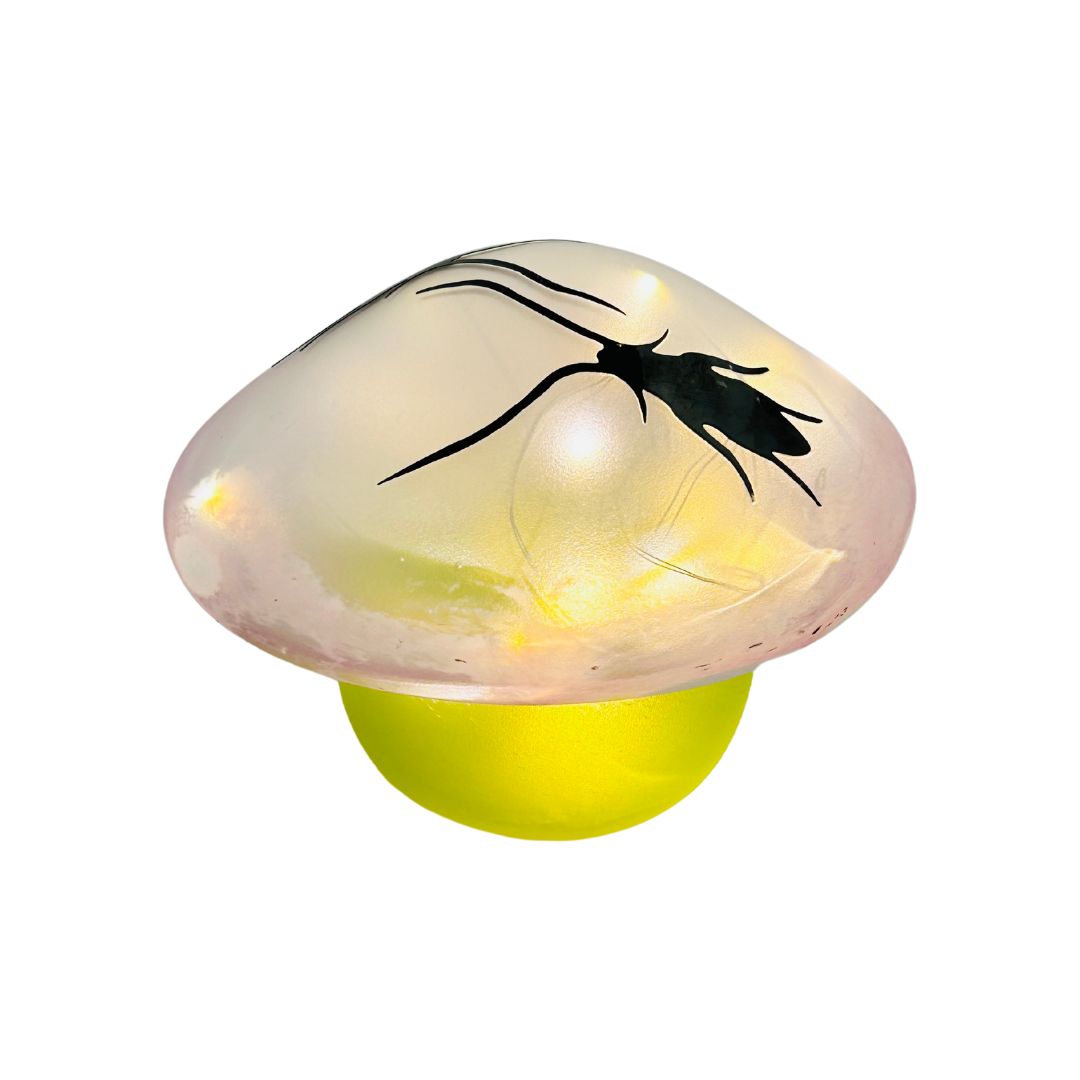 Field Notes: Artists Observe Nature – Museum of Glass