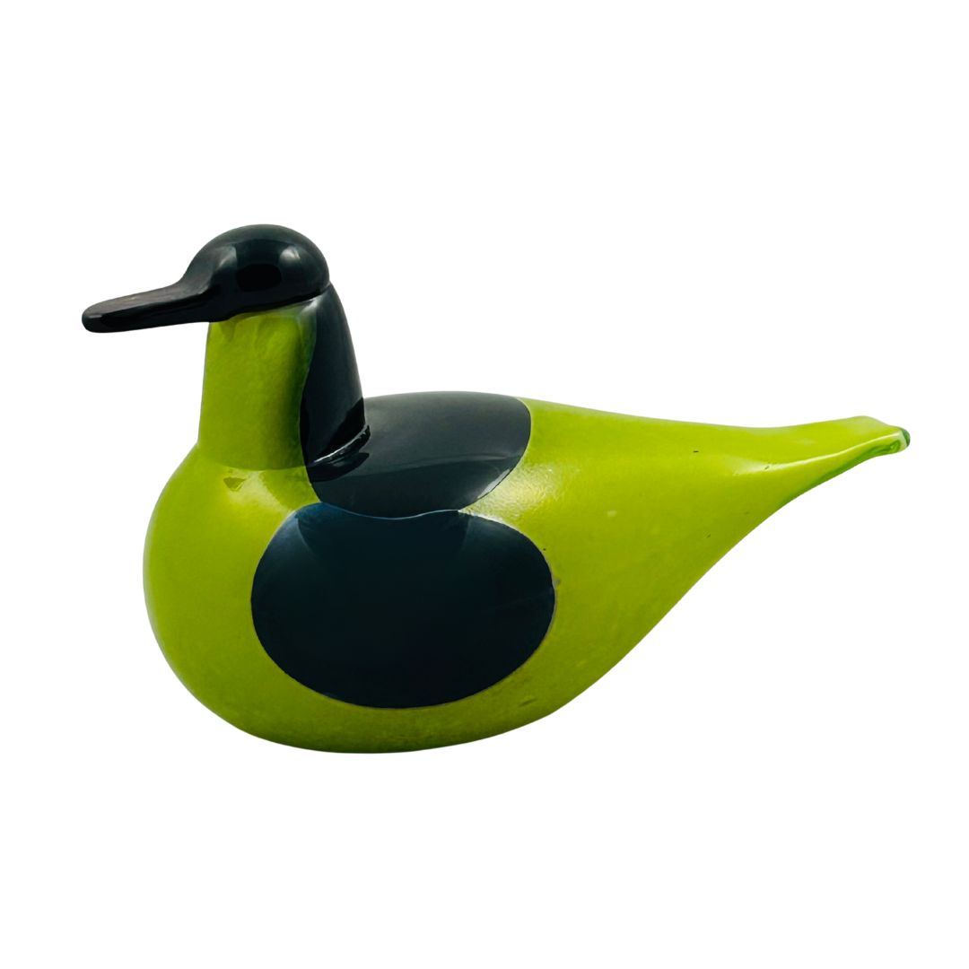Common Teal, male (Tavi) – Museum of Glass