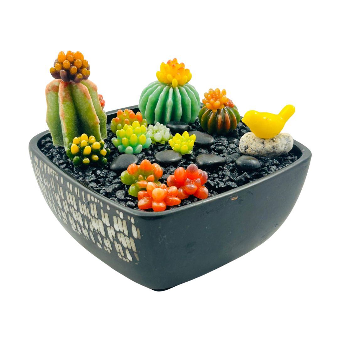 Square Ceramic Pot w/ Succulents – Museum of Glass