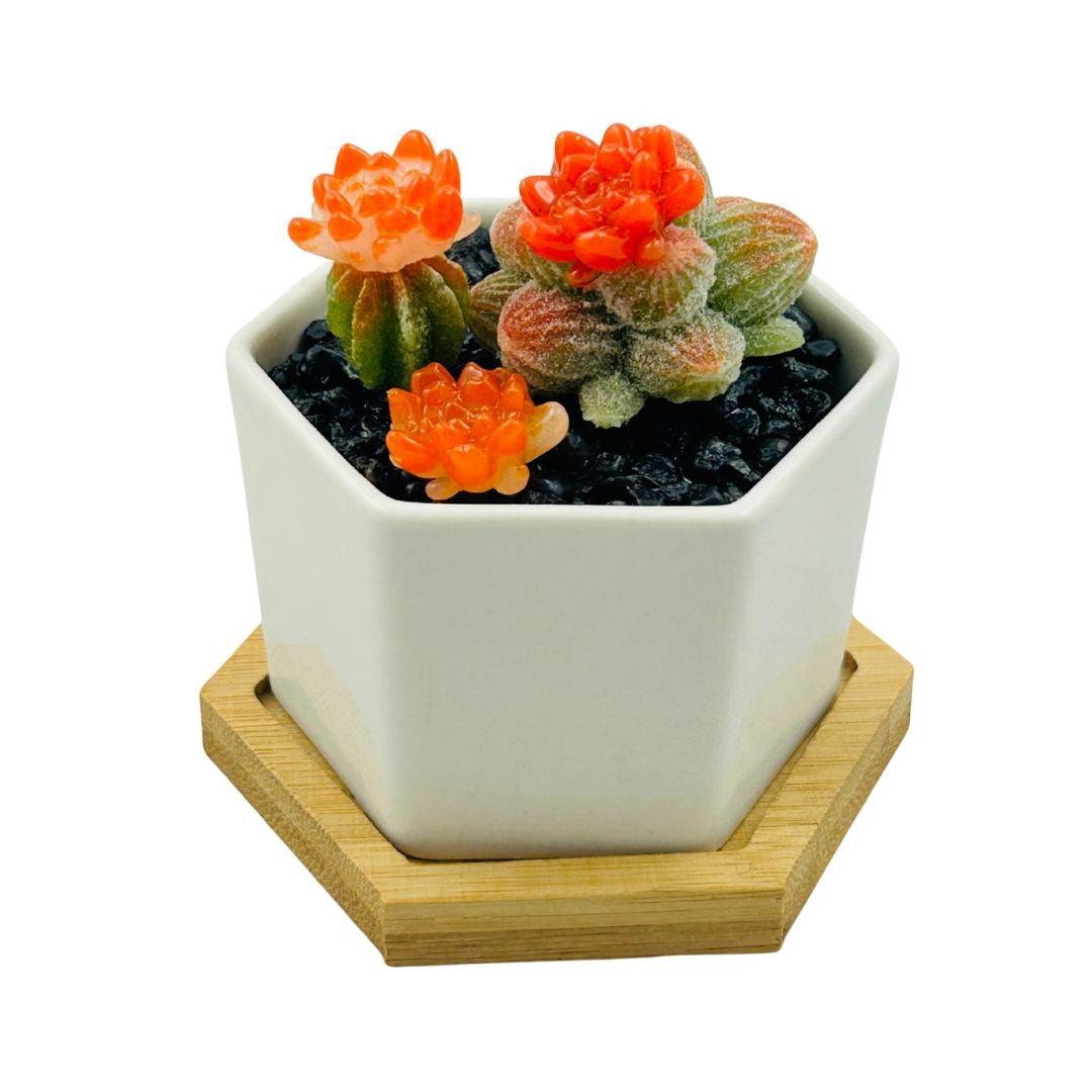 White Ceramic Glass Succulent Hex Pot - 02 – Museum of Glass