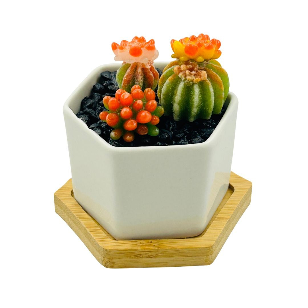 White Ceramic Glass Succulent Hex Pot - 05 – Museum of Glass