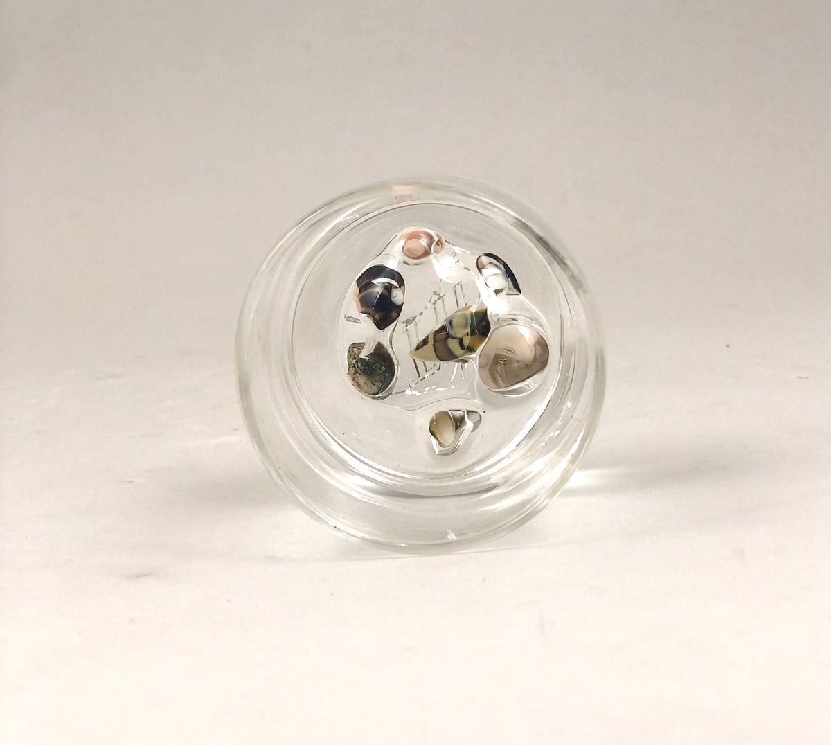 Set of 4 Rocks Glasses – Museum of Glass